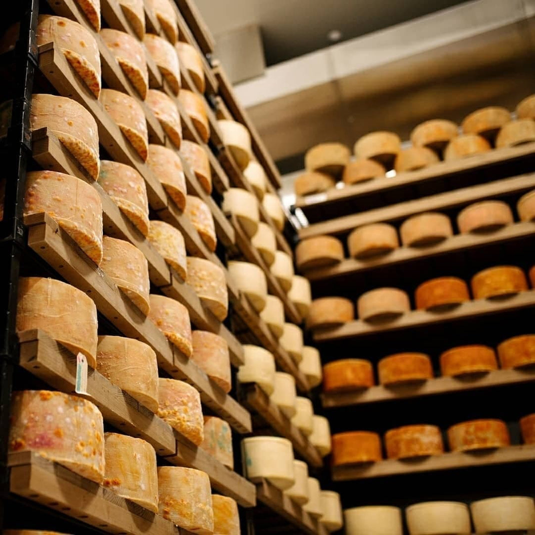 Maturing Room – Cheese Culture