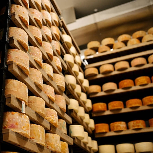 Maturing Room – Cheese Culture