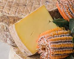 Long Paddock Banksia – Cheese Culture